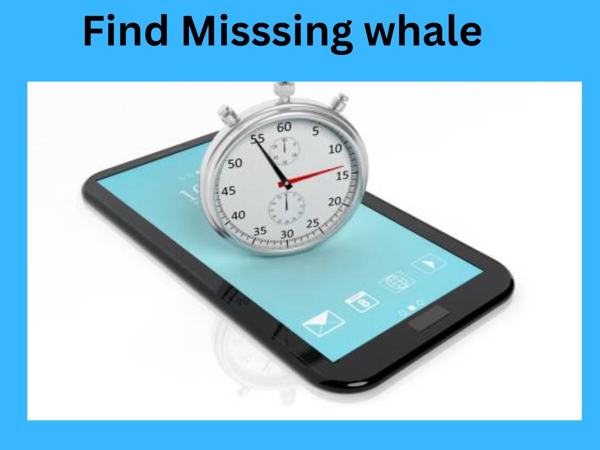 Optical Illusion with answers iq test trending whale where are hiding ...