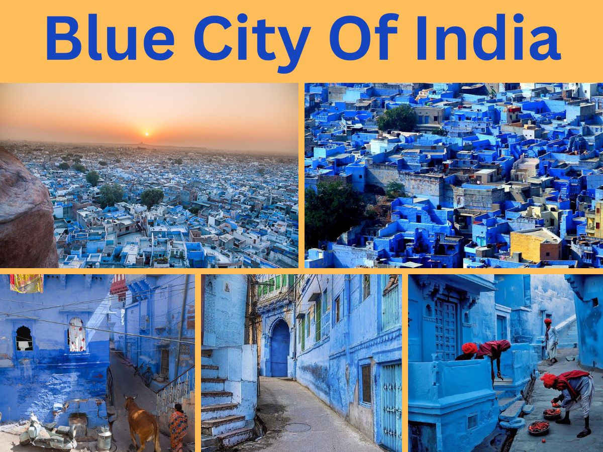 Knowledge trending Blue City Of India Jodhpur rajasthan looks more ...