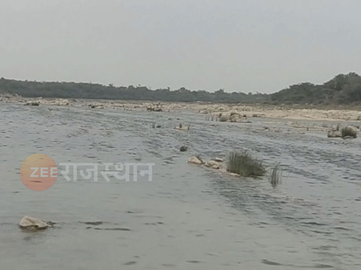 Dungarpur news 22 anicuts being built to stop the water flowing to ...