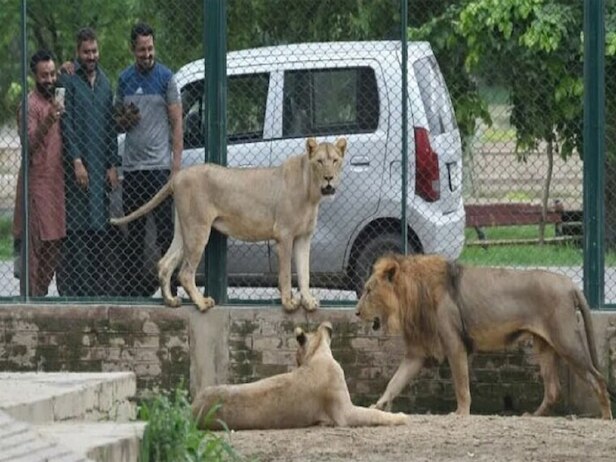 Know why this zoo of Kashmir is special Lieutenant Governor manoj sinha ...