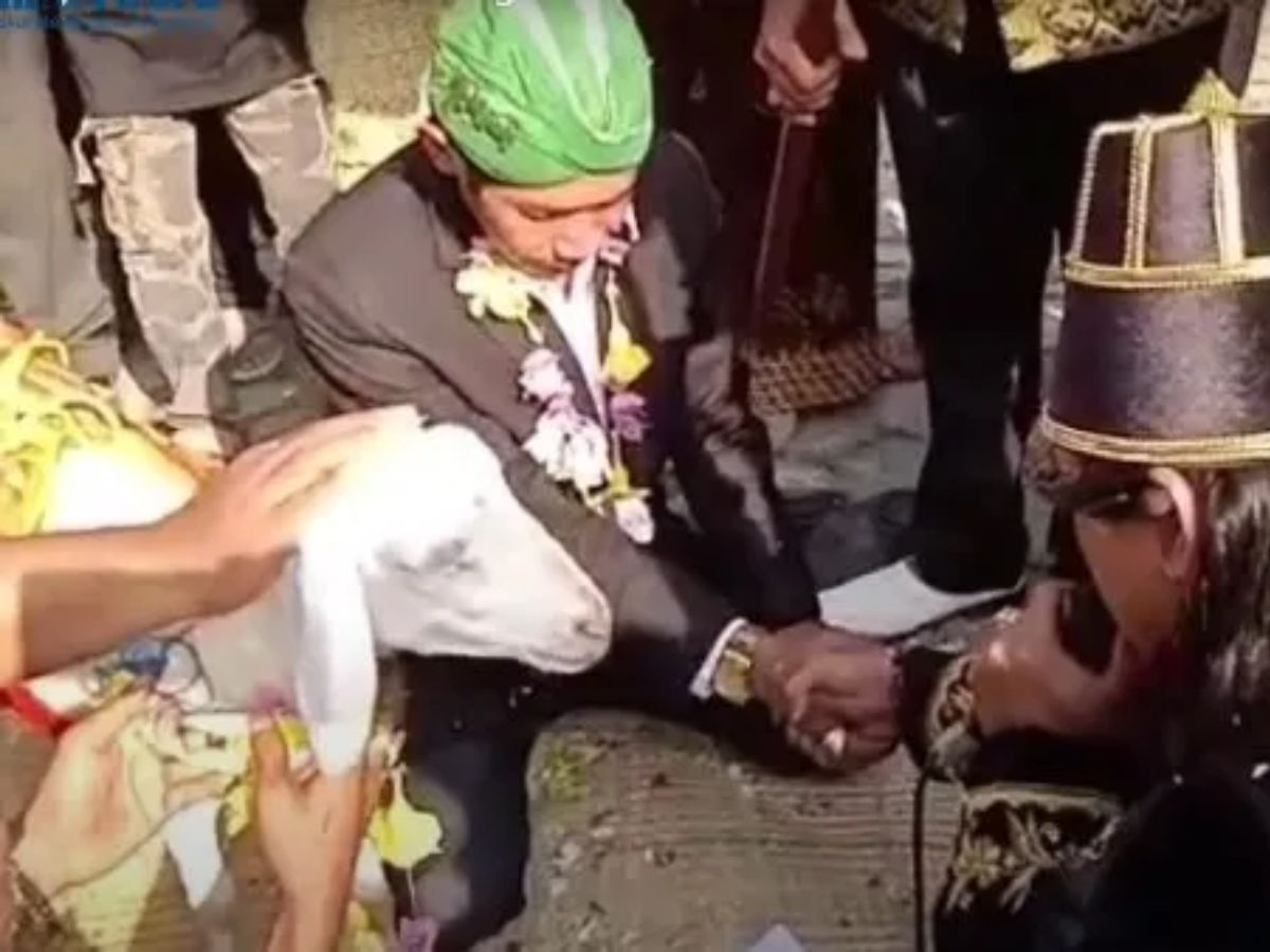 man got married with goat in Indonesia marriage video viral | अधेड़ ...