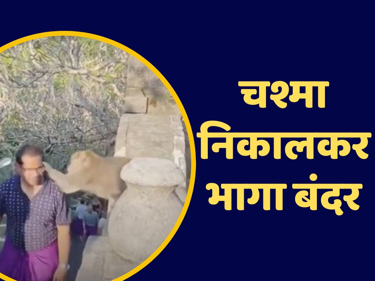 Viral Video Monkey ran away by taking out glasses from devotee eyes ...