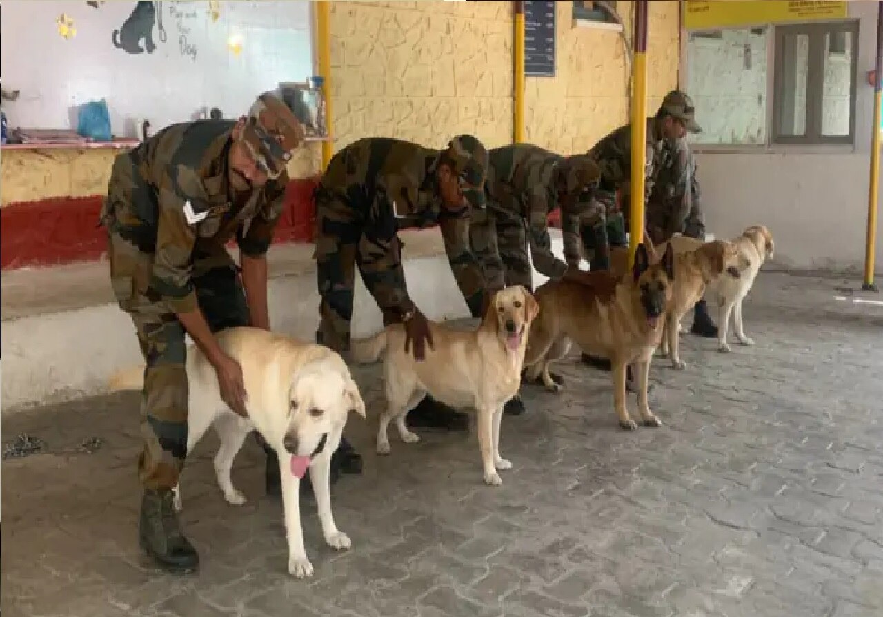 Army Dogs Recruitment and Training Know who gets Army Dogs Salary ...