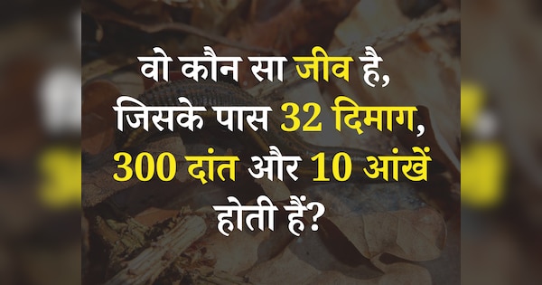 trending gk quiz know which creature has 32 brains 300 teeth and 10 ...