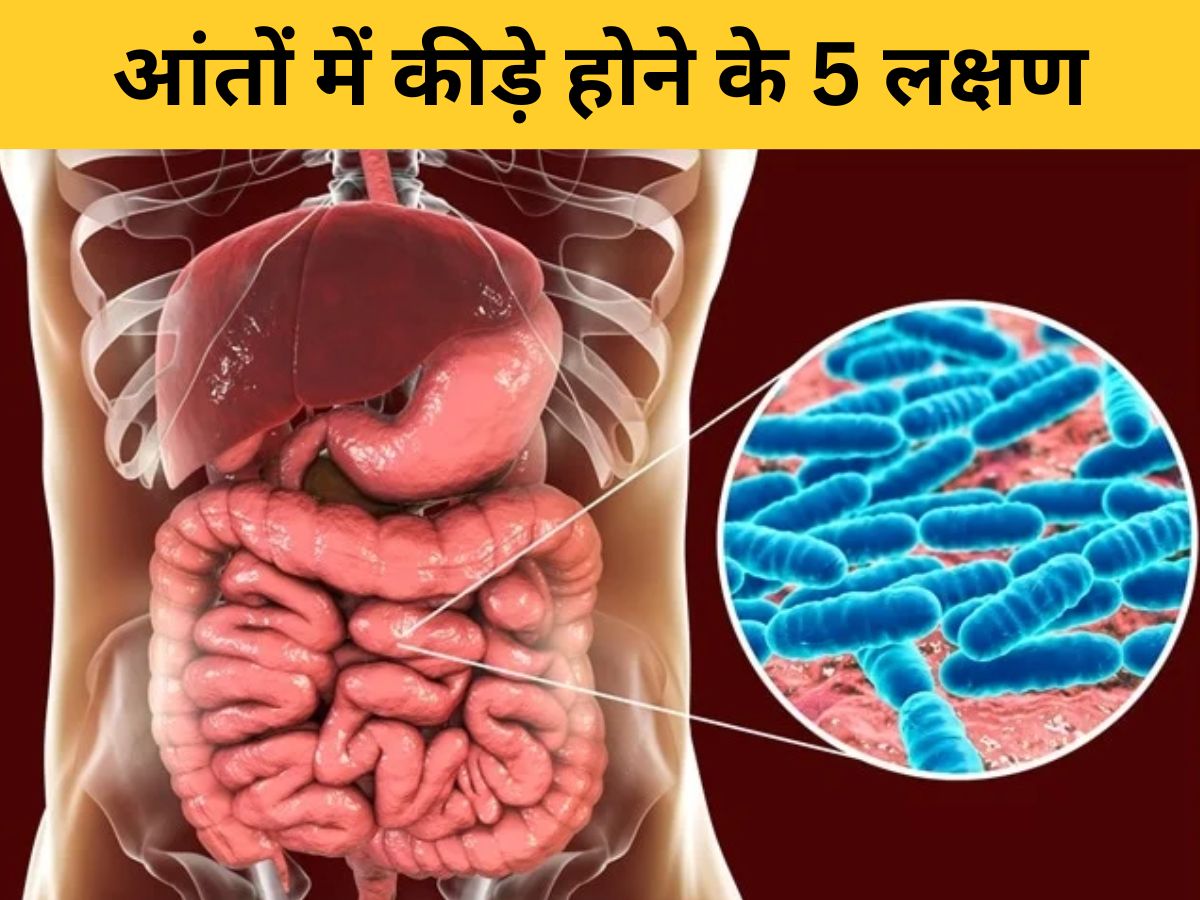 Unhealthy Gut Symptoms Bacteria in Intestine Signs Constipation ...