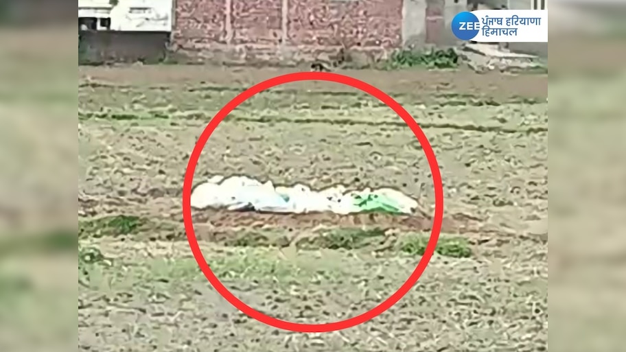 Punjab Hoshiarpur Mukerian Bomb News Today in Hindi Police Cordoned Off ...