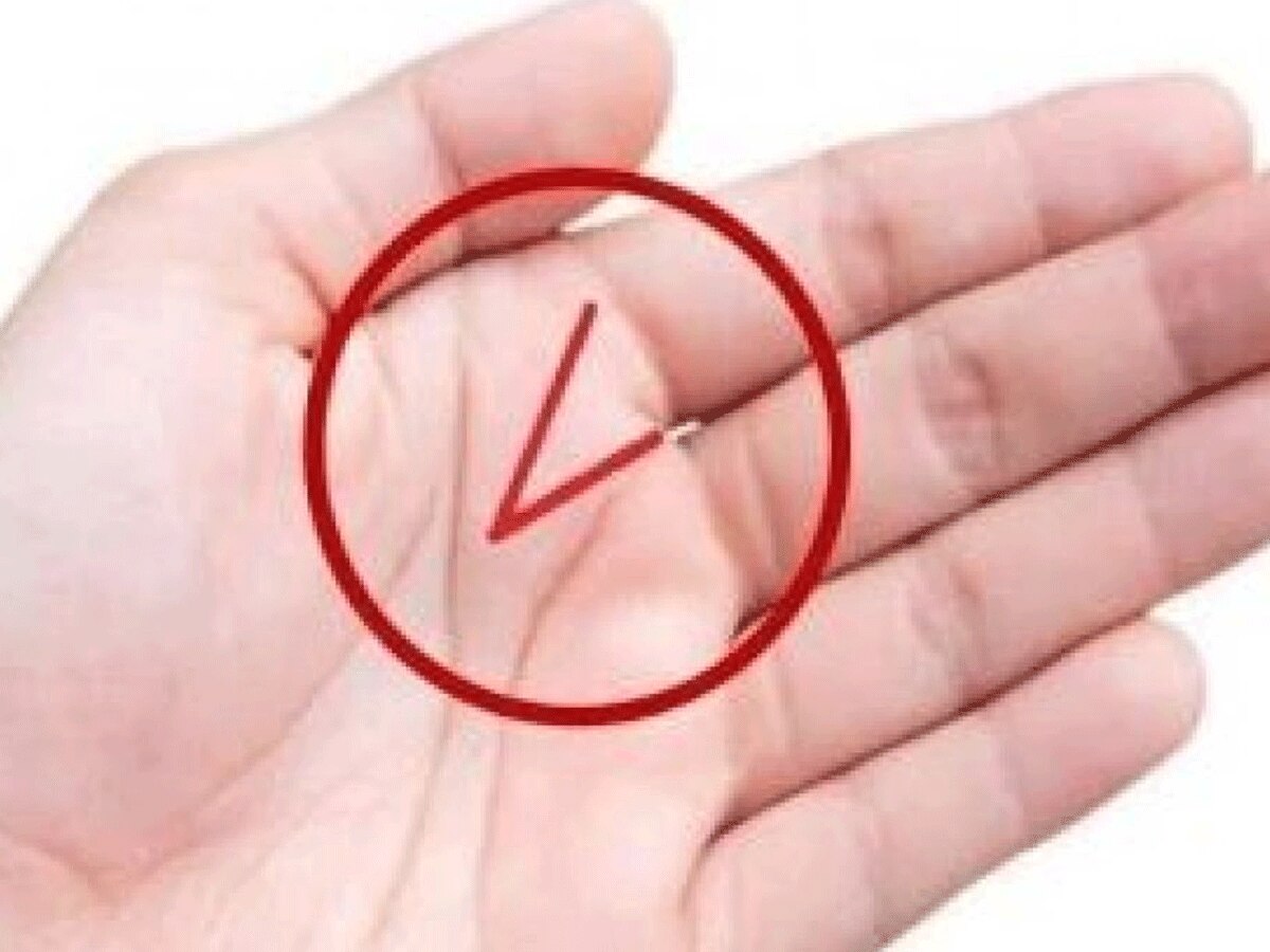 राजस्‍थान न्यूज़, Rajasthan News Live | राजस्‍थान की ब्रेकिंग खबरें ...