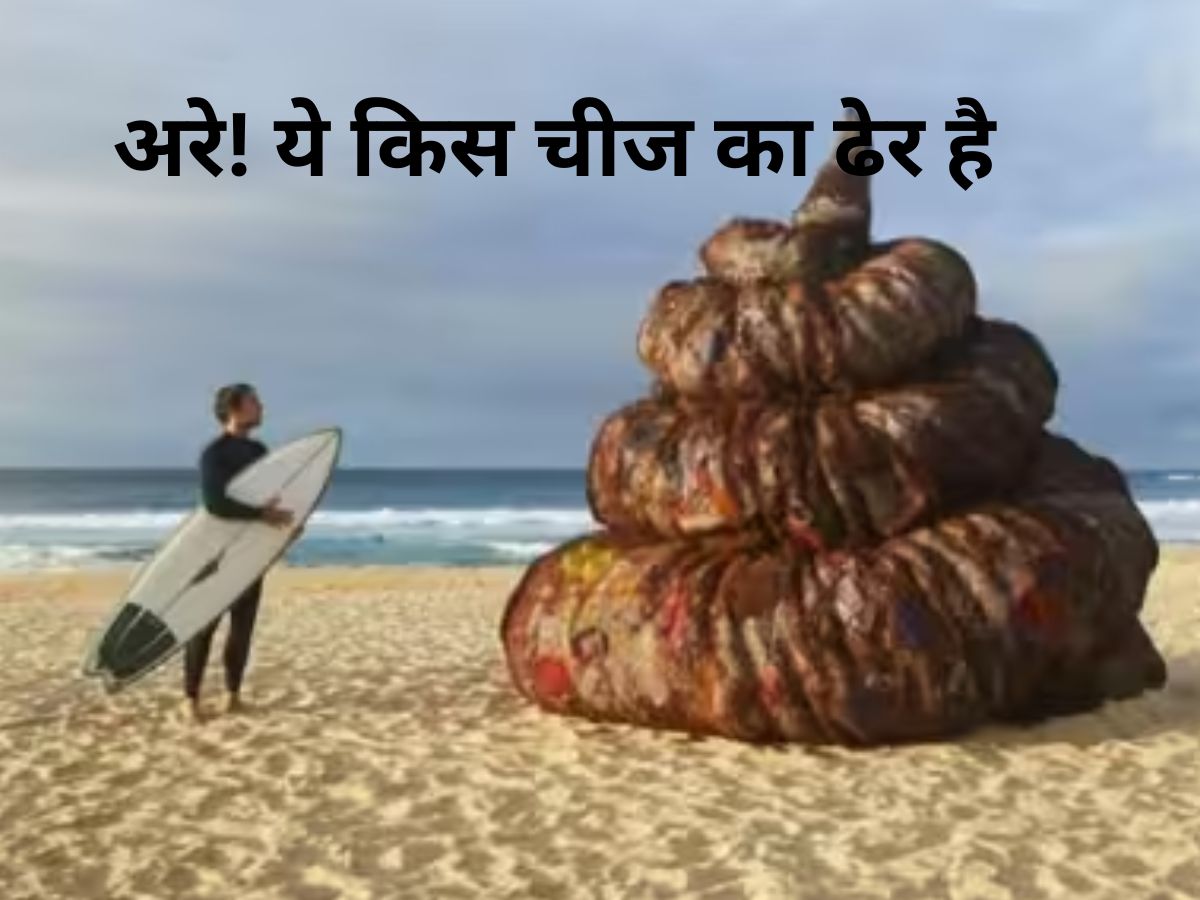 weird sculpture on beach of bondi aware on plastic waste problem | इस ...