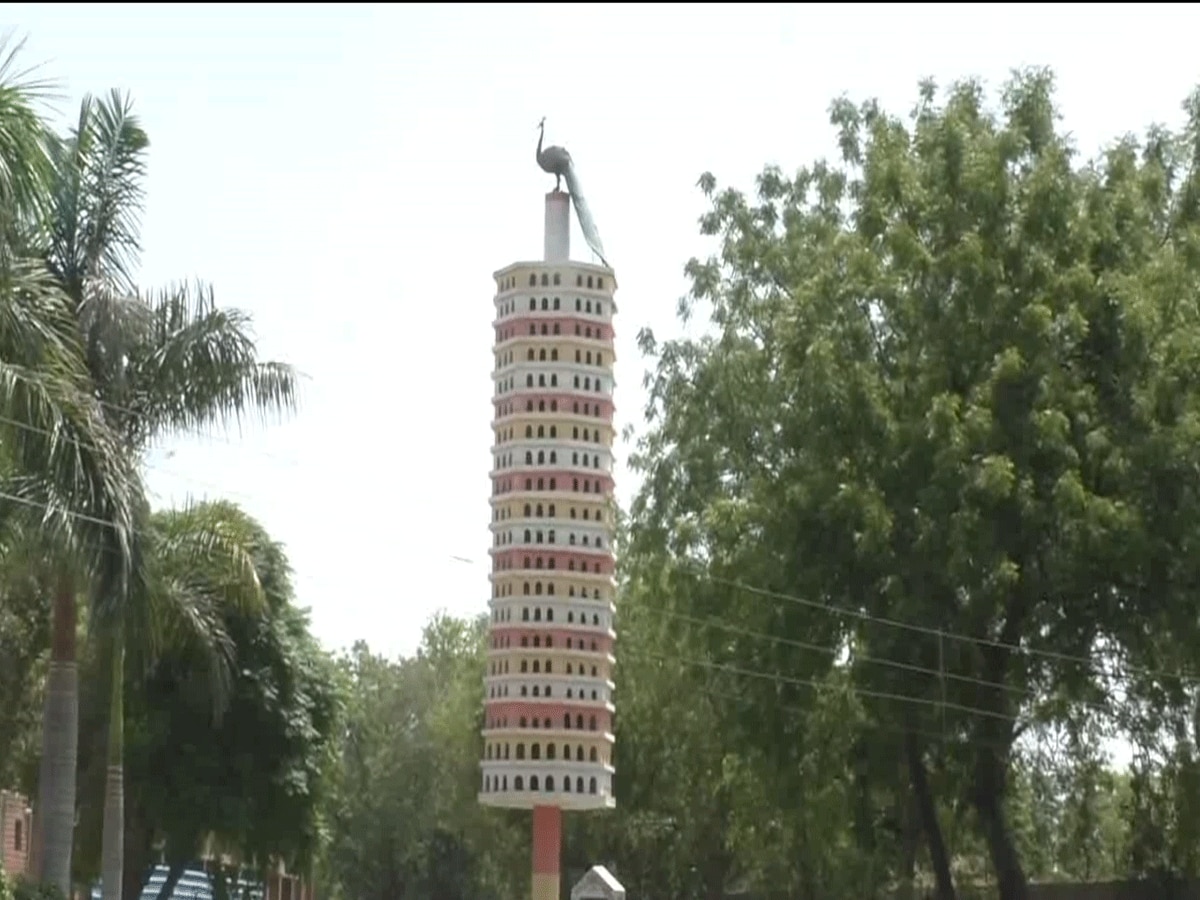 sirsa bird house 21 floor shelter for birds building in haryana ...