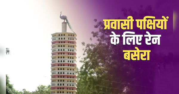 sirsa bird house 21 floor building in haryana with these facilities ...