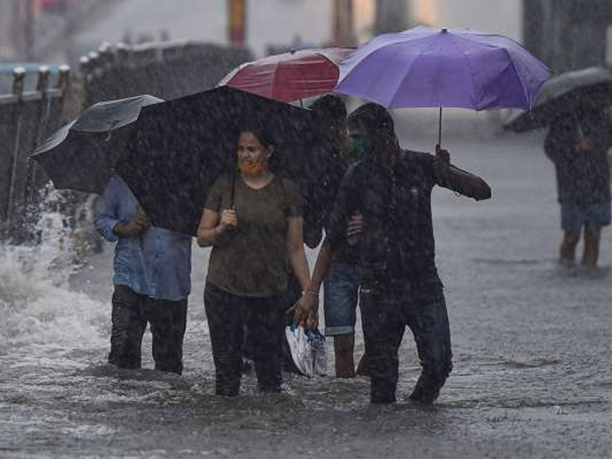 monsoon hits kerala rain prediction in delhi up bihar mp imd alet | Monsoon Update: केरल में ...