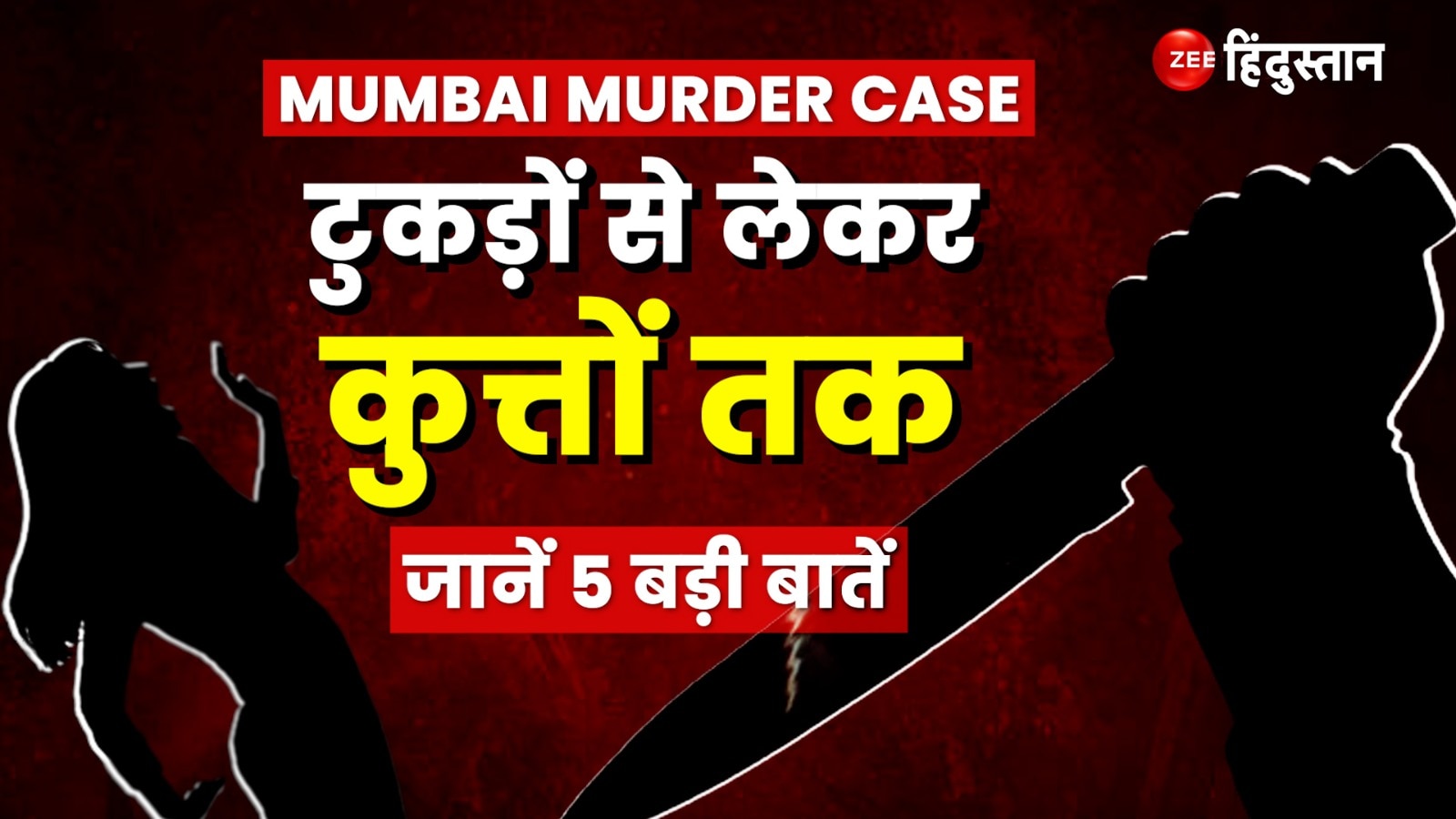 Mumbai Murder Case How the girl was cut into pieces, know what happened ...