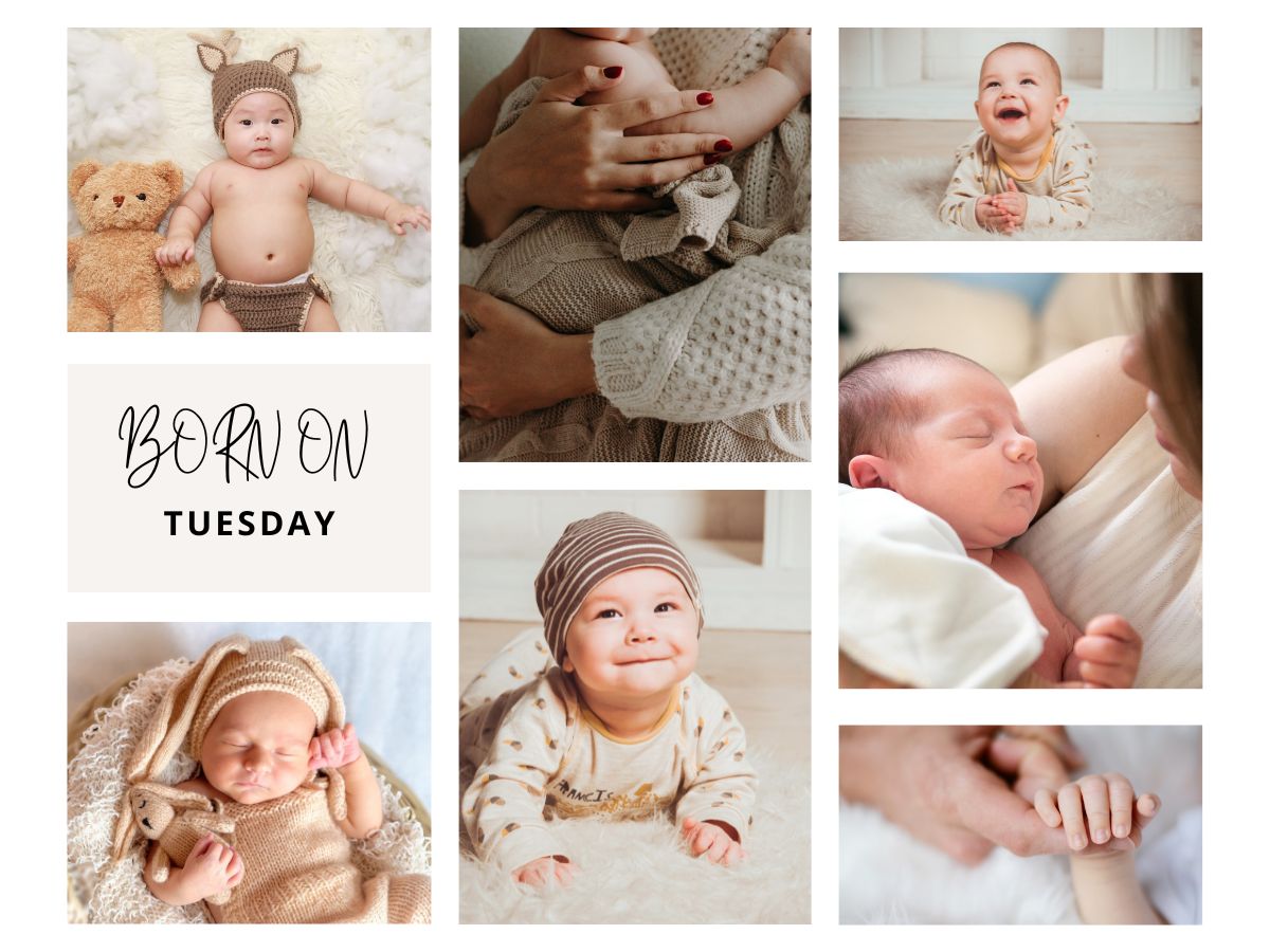 Tuesday born people courageous and ambitious like discipline in work ...