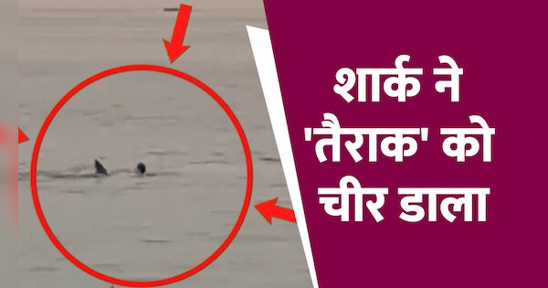 shark attack Swimmer mauled to death in sea video goes viral | Shark ...