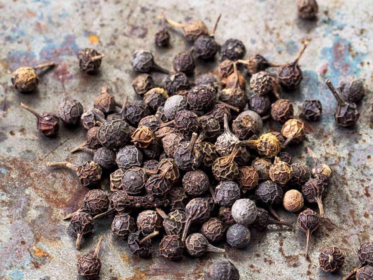 kabab chini cubeb improves digestion and decreases vaginal discharge ...