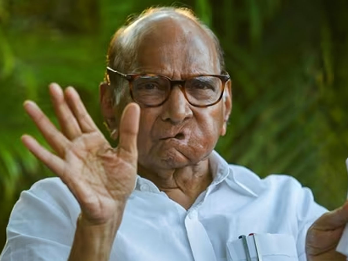 sharad pawar big disclosure told why did ajit pawar not get post in ncp ... sharad pawar big disclosure told why did ajit pawar not get post in ncp ...