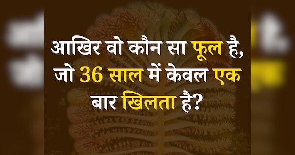 trending gk quiz which is the flower that blooms only once in 36 years ...