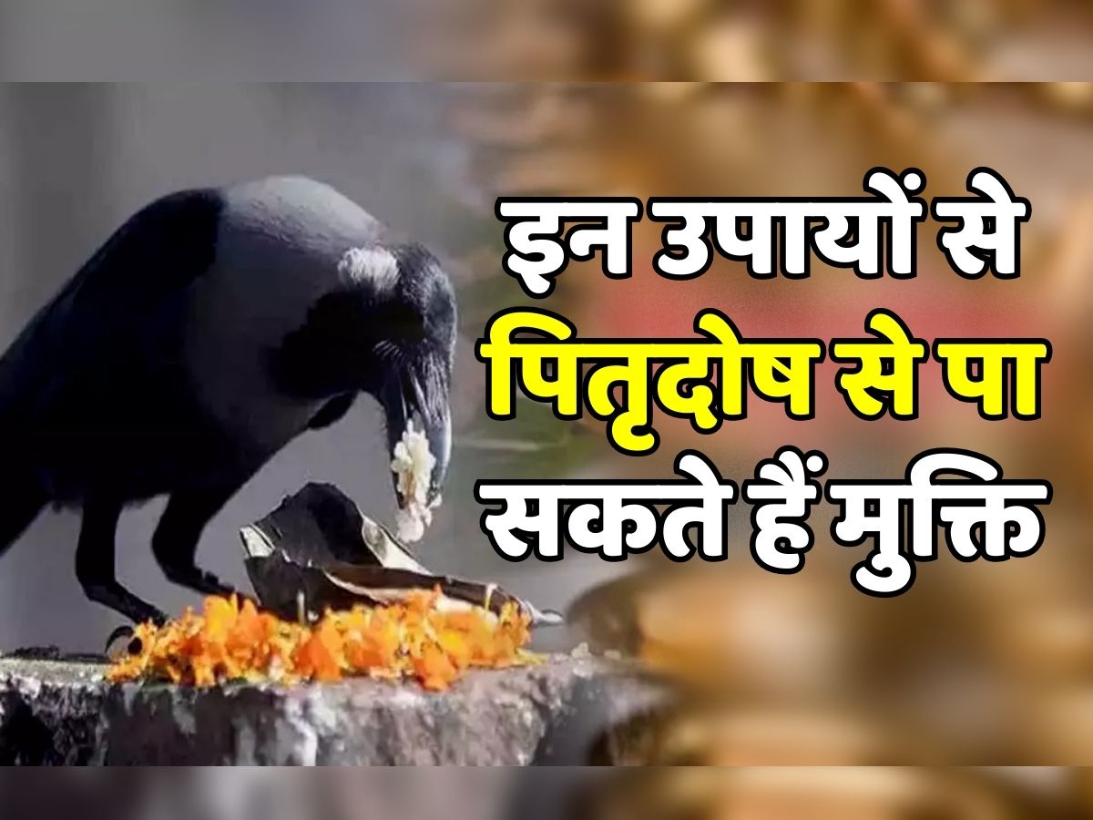 Pitra Dosh With these measures remedies you can get rid of dosh | Pitra ...