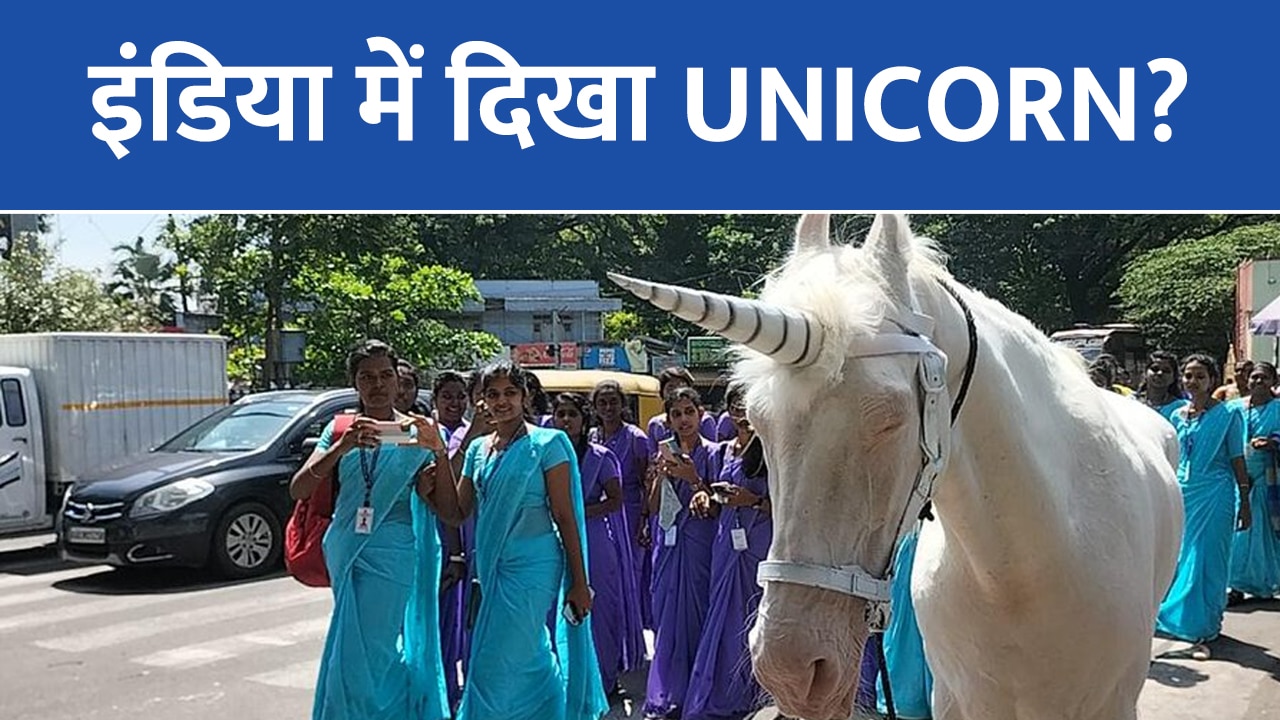 twitter trending unicorn spotted in india video viral on social media ...