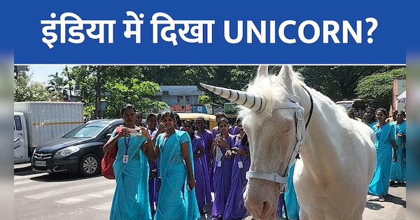 twitter trending unicorn spotted in india video viral on social media ...