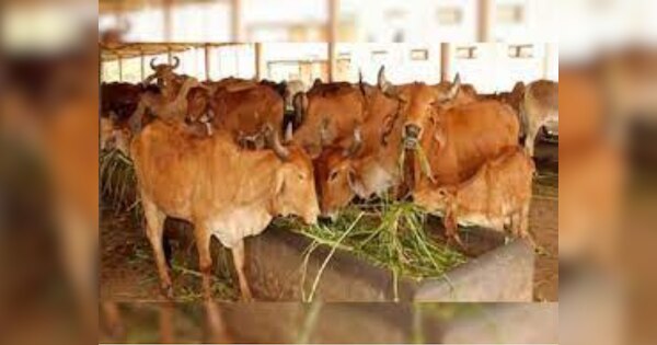 RSS leader Indresh Kumar said RSS linked Muslim Rashtriya Manch says to ...