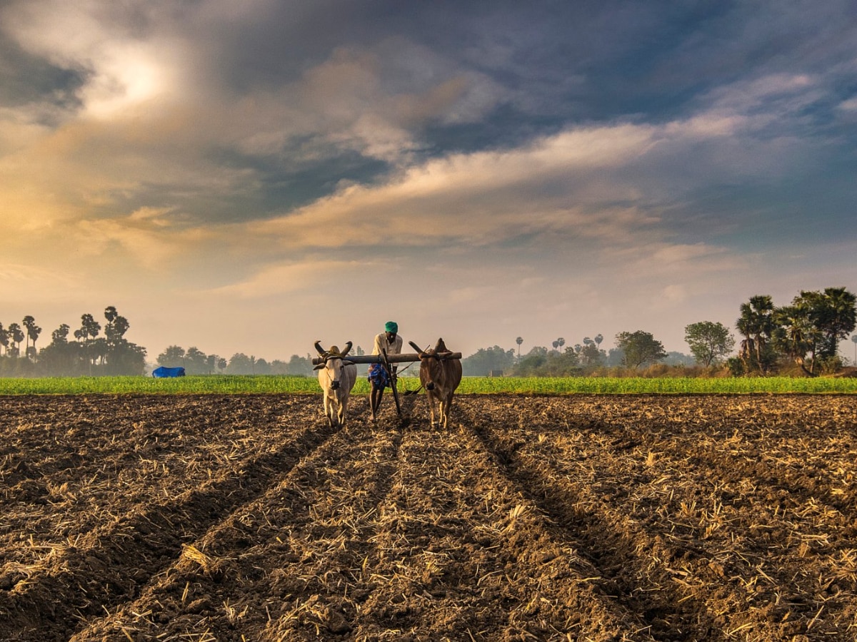 Kisan Kalyan Mahakumbh cm shivraj singh chauhan transfer pm fasal bima ...