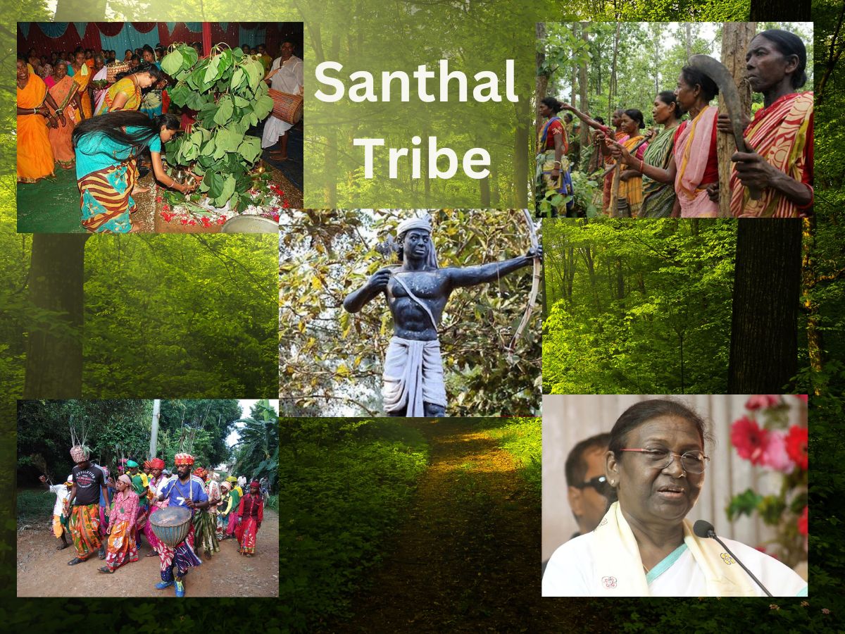 Santhal TribeJharkhand Unknown Facts tilka manjhi President Draupadi ...