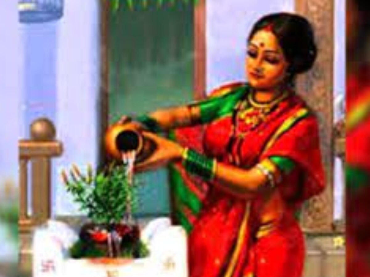Tulsi Watering Benefits in hindi tulsi vastu morning tips tulsi ke upay money gained vaulet ...