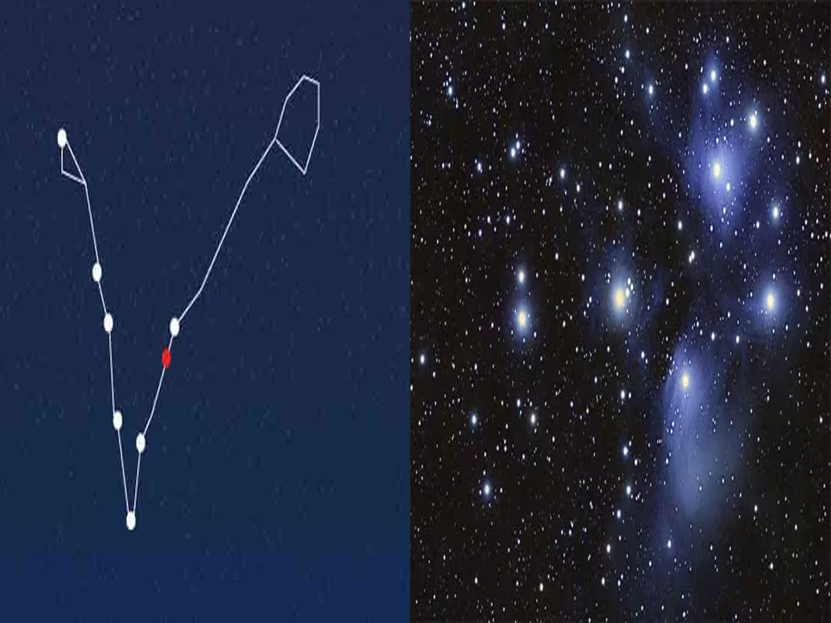 Revati Nakshatra born People rich in extraordinary qualities emotional ...