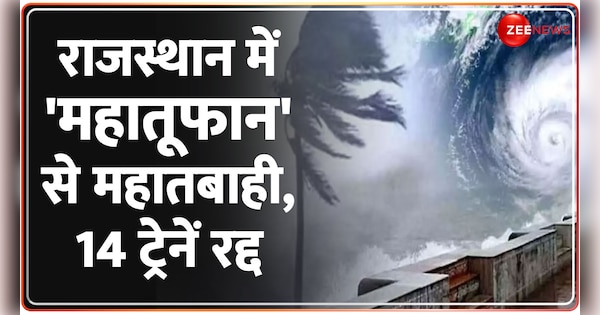 Rajasthan Cyclone Update: Trees fell from Biporjoy in Rajasthan, water ...