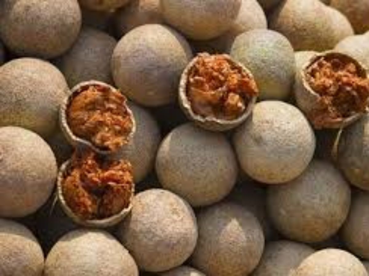 what is benefits of eating kaitha kaitha ke fayde aur nuksan | गर्मियों ...