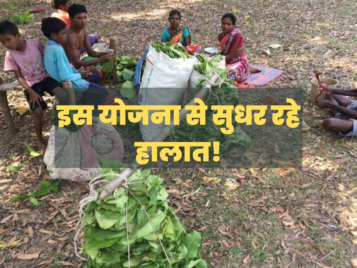 Tribal Tendupatta laborers became traders due to PESA Act rojgar ke ...