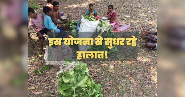 Tribal Tendupatta laborers became traders due to PESA Act rojgar ke ...