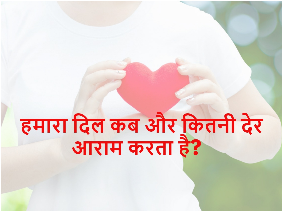 Gk Trending Quiz When And For How Long Does Our Heart Rest Quiz
