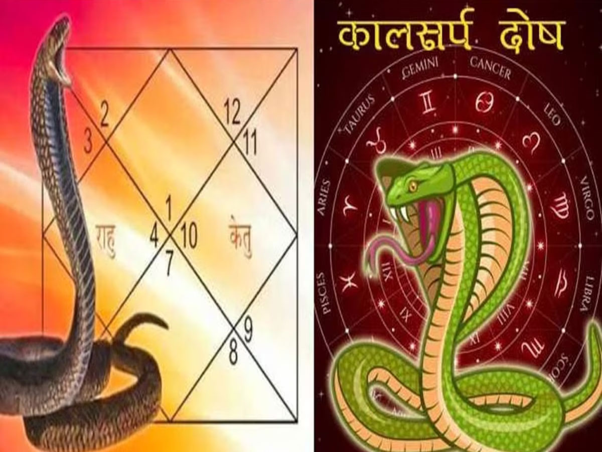 kaal sarp dosh Do not worry if you have Kalsarp Yog make shivji happy ...