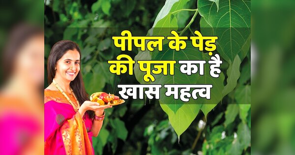 Vastu tips special importance of worshiping Peepal Ficus religiosa tree ...