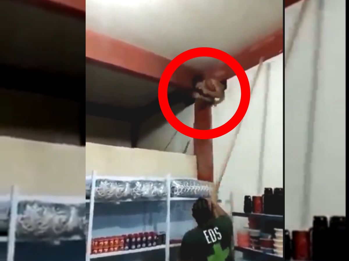 Viral Video poor thief stuck in middle of wall | Funny Video : दीवार के ...