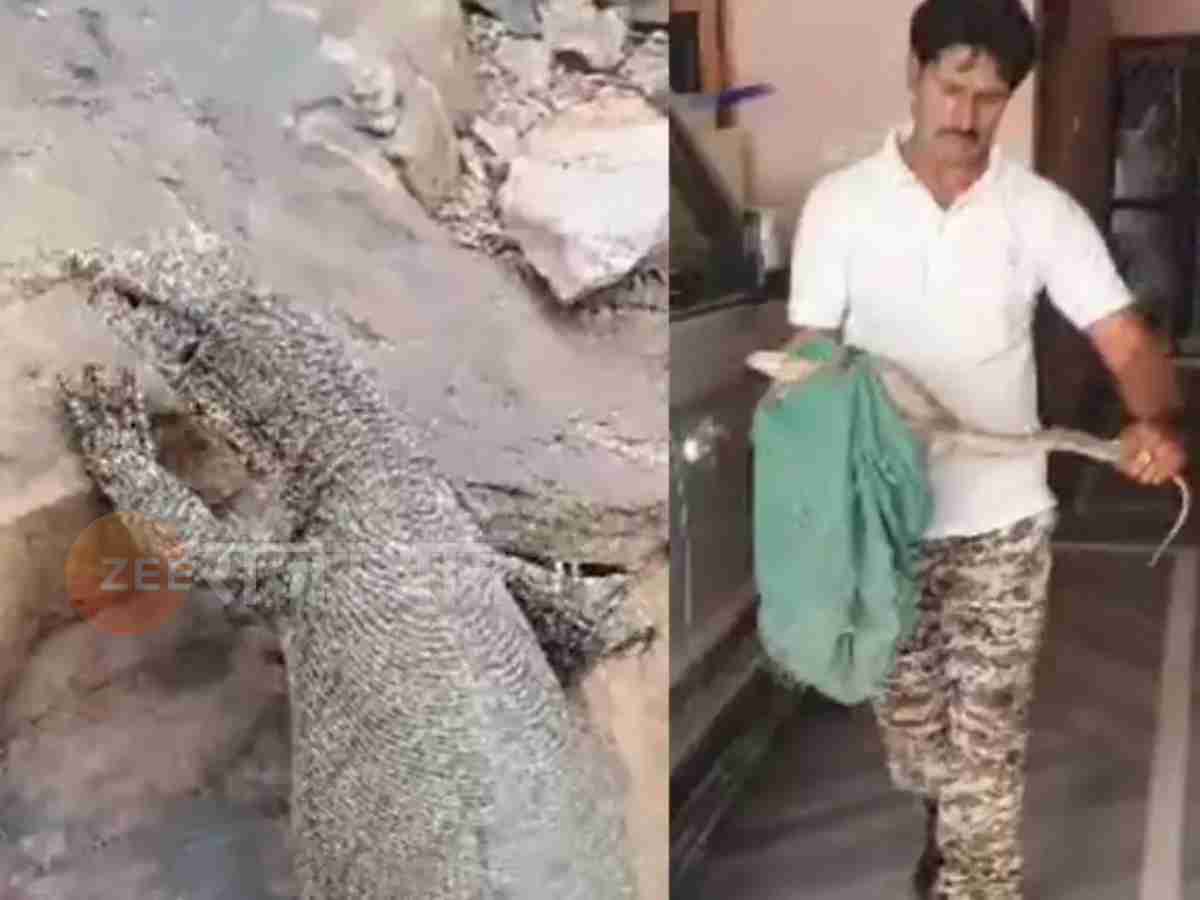Ajmer monitor lizard was sitting in jeep when door was opened hands and ...
