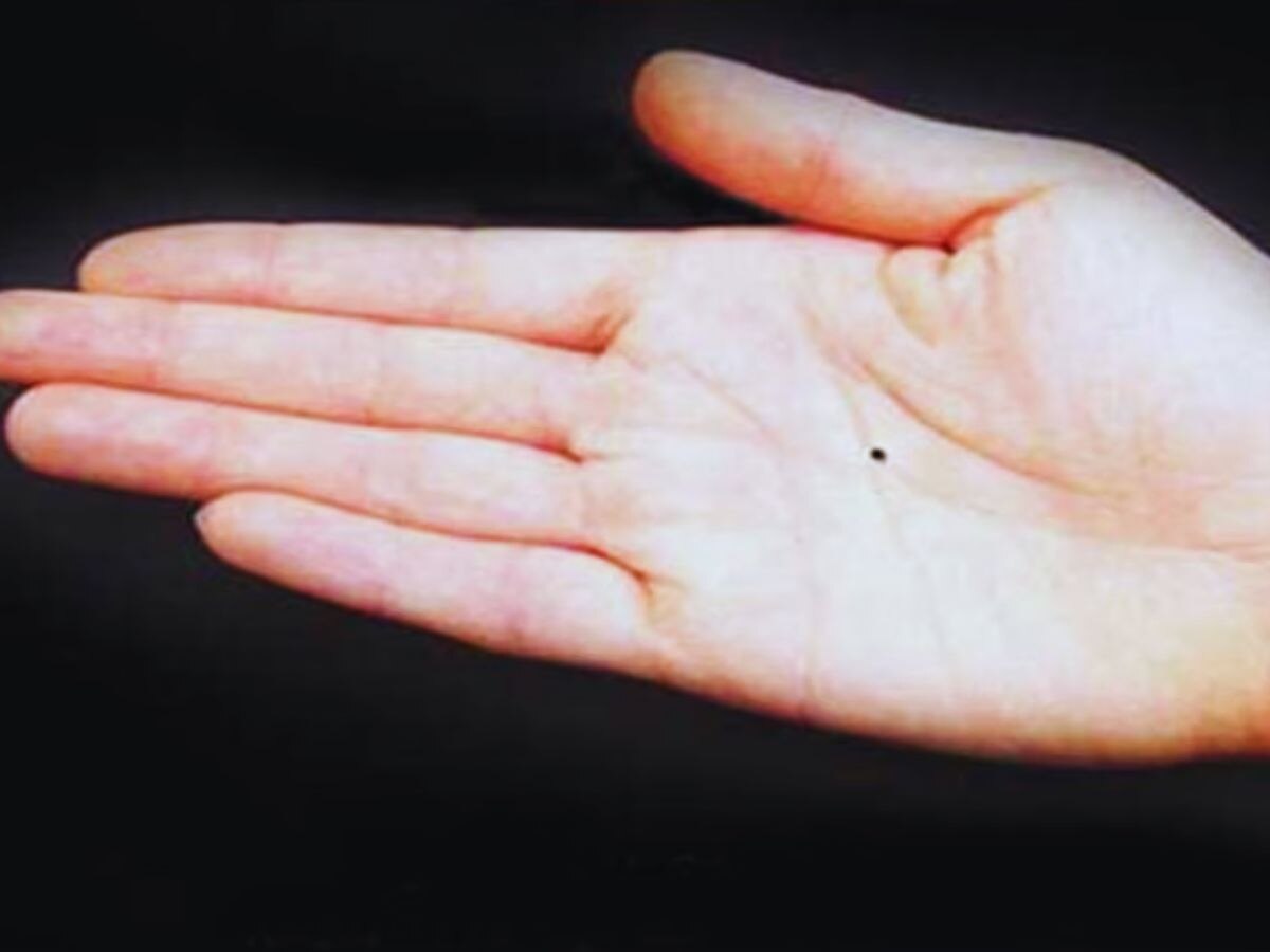 Palmistry Sign Mangal Rekha auspicious Mars line in hands makes ...