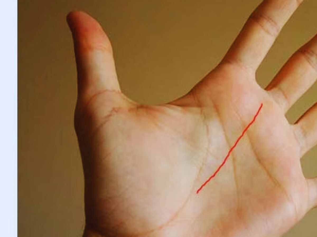 Palmistry Sign Mangal Rekha auspicious Mars line in hands makes ...