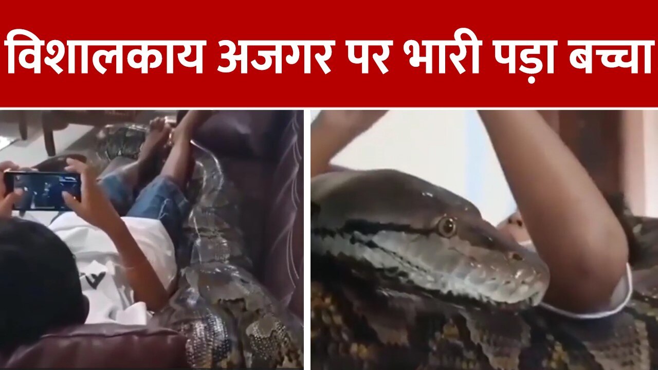 Boy sitting on couch playing video game among giant python Ajgar ka ...