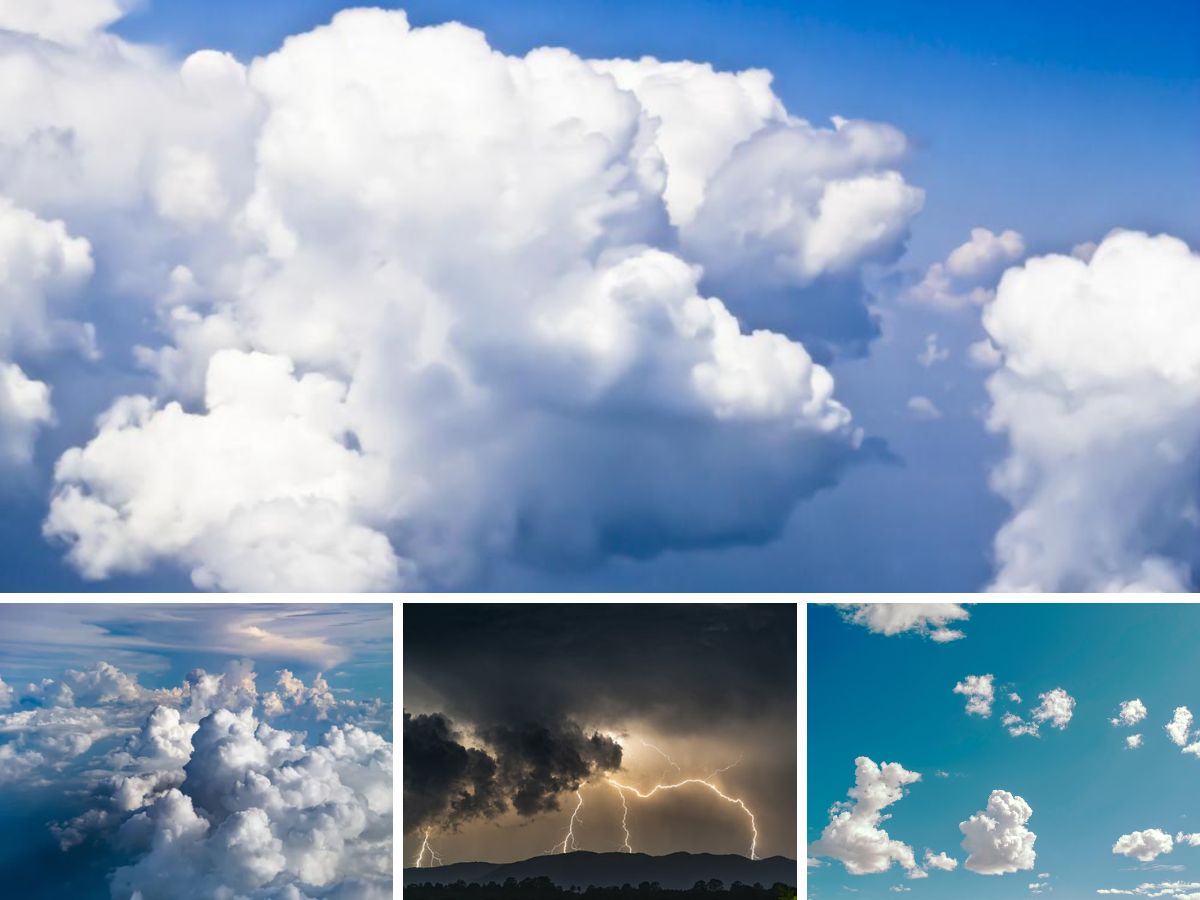 GK Amazing facts Rainy Season How do clouds make strange shapes in Sky ...