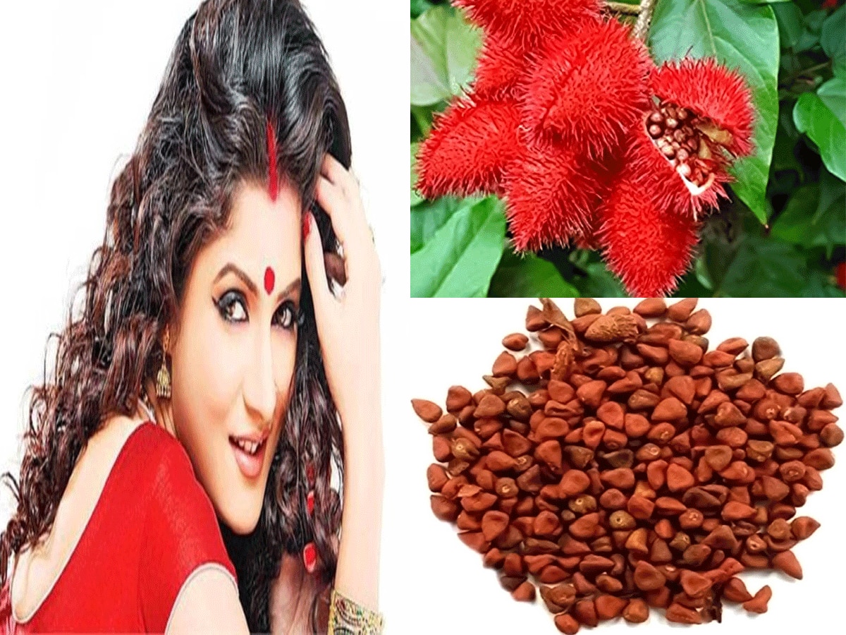 Lifestyle News This is Sindoor plant now herbal natural Sindoor is made ...