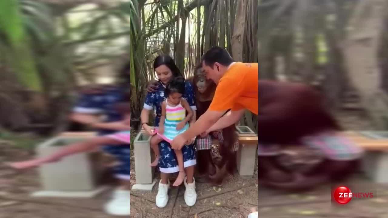 chimpanzee bizarre mood while taking selfie with mother and daughter ...