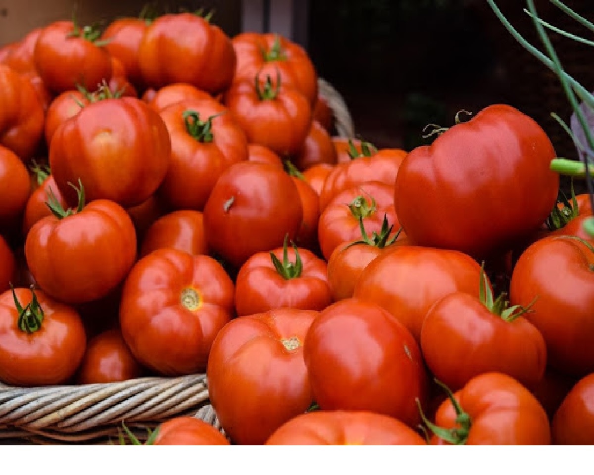 Tomoto Price There was a huge jump in the prices, know what is the ...