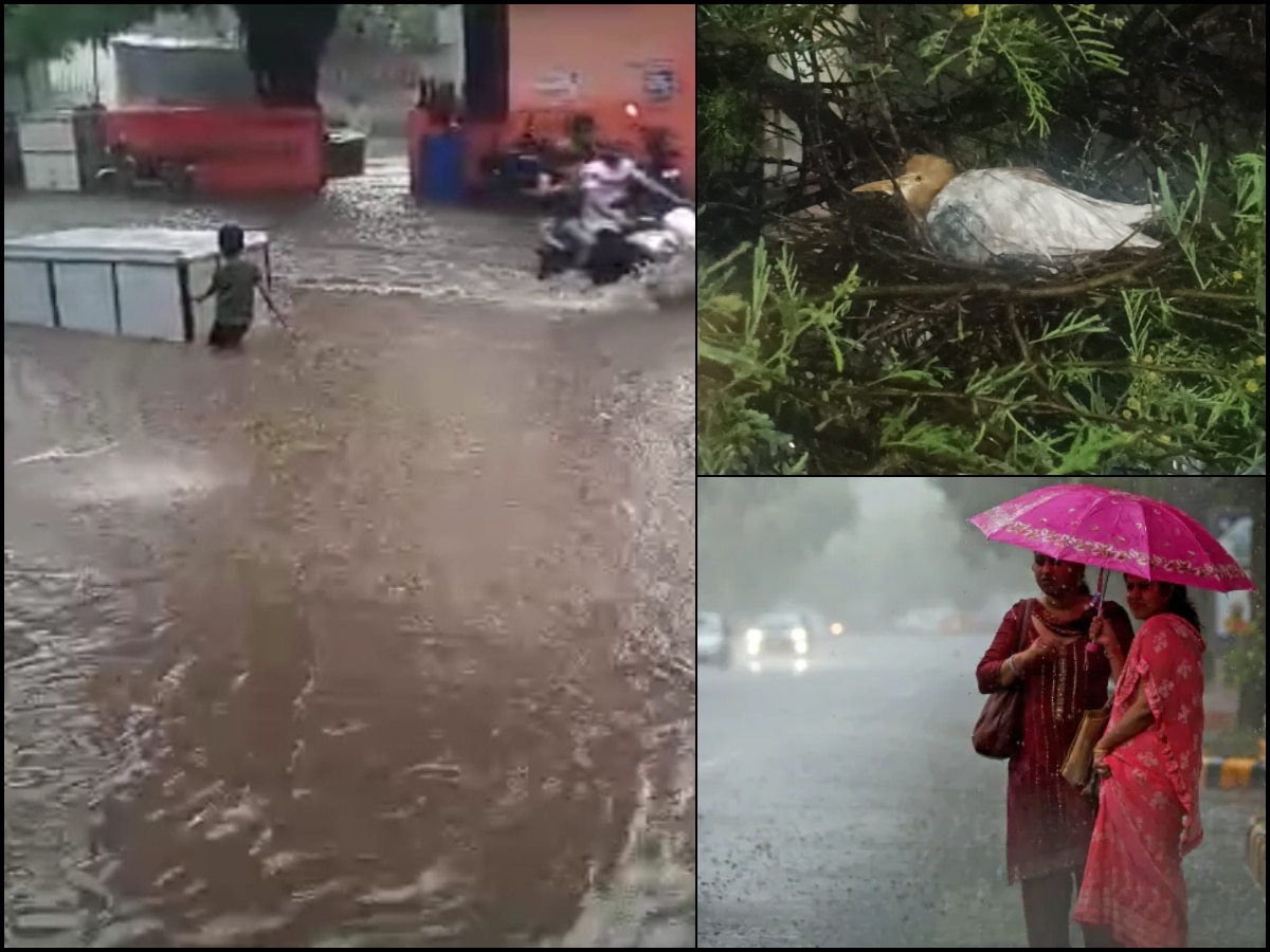 Monsoon Update Weather In MP Thunderstorm Heavy Rain In Shahdol Ujjain ...