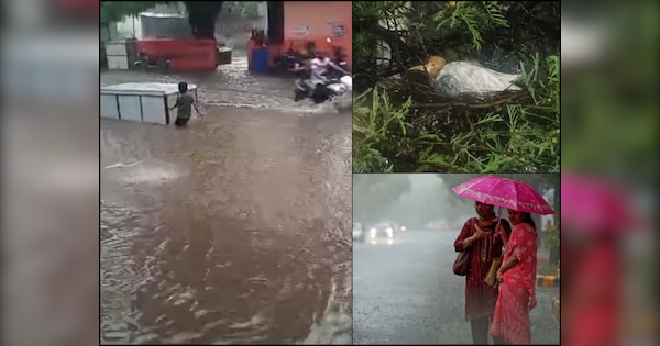 Monsoon Update Weather In MP Thunderstorm Heavy Rain In Shahdol Ujjain ...