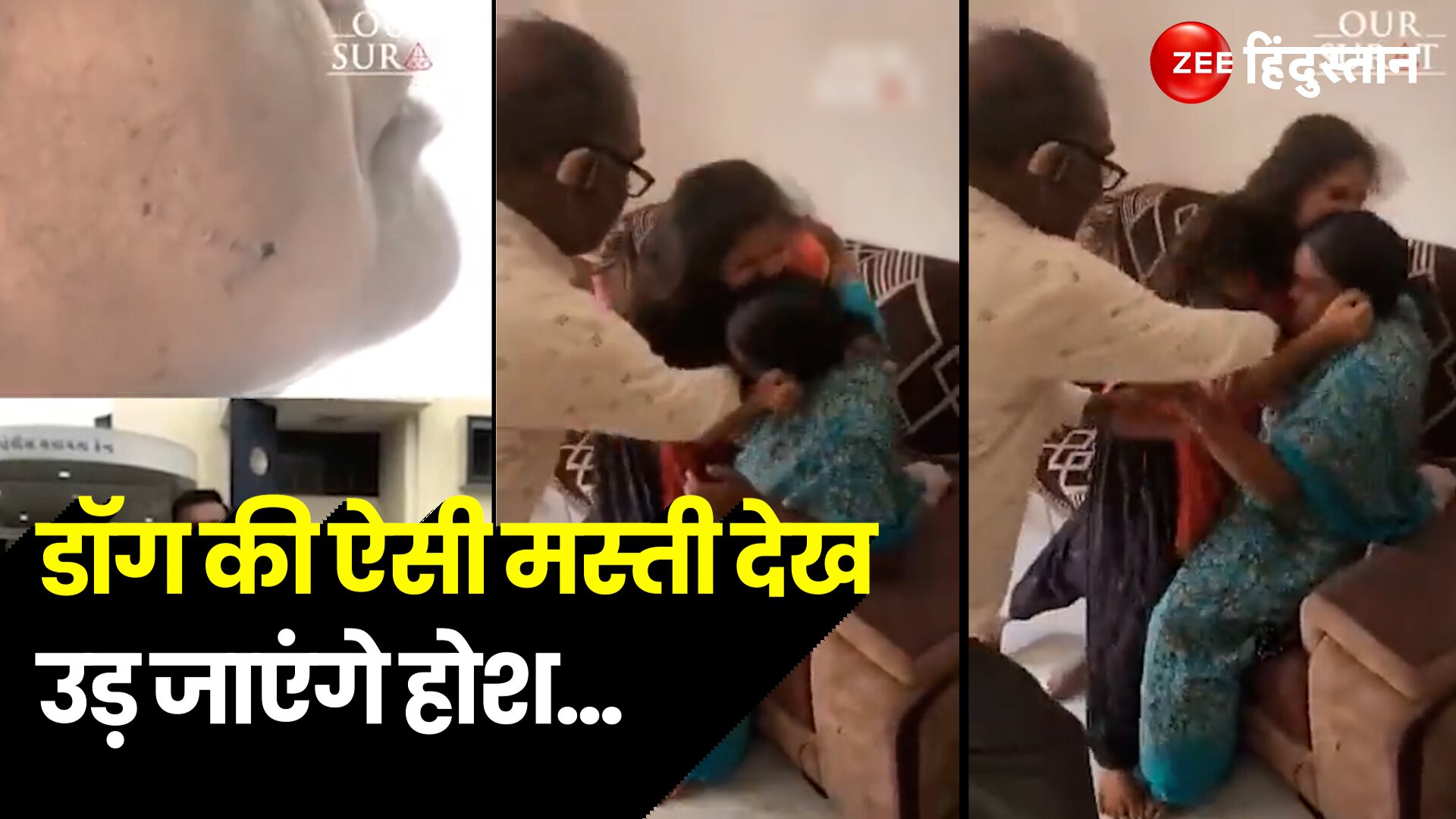 Daughter-In-Law Beats Up And Bites Old Mother-In-Law In A Fight Over ...
