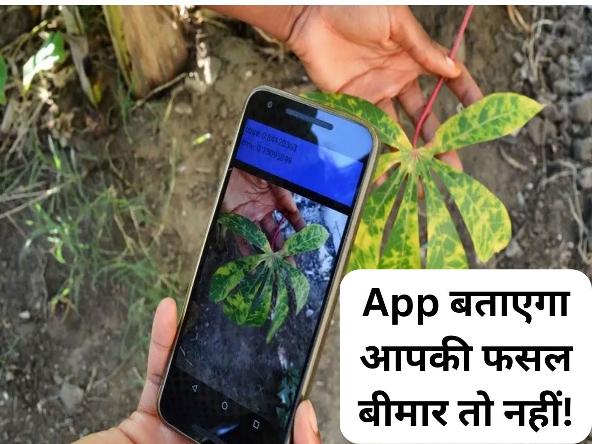 IIIT Bhagalpur Develops e Nirog App for Crop Disease Detection | 'E ...