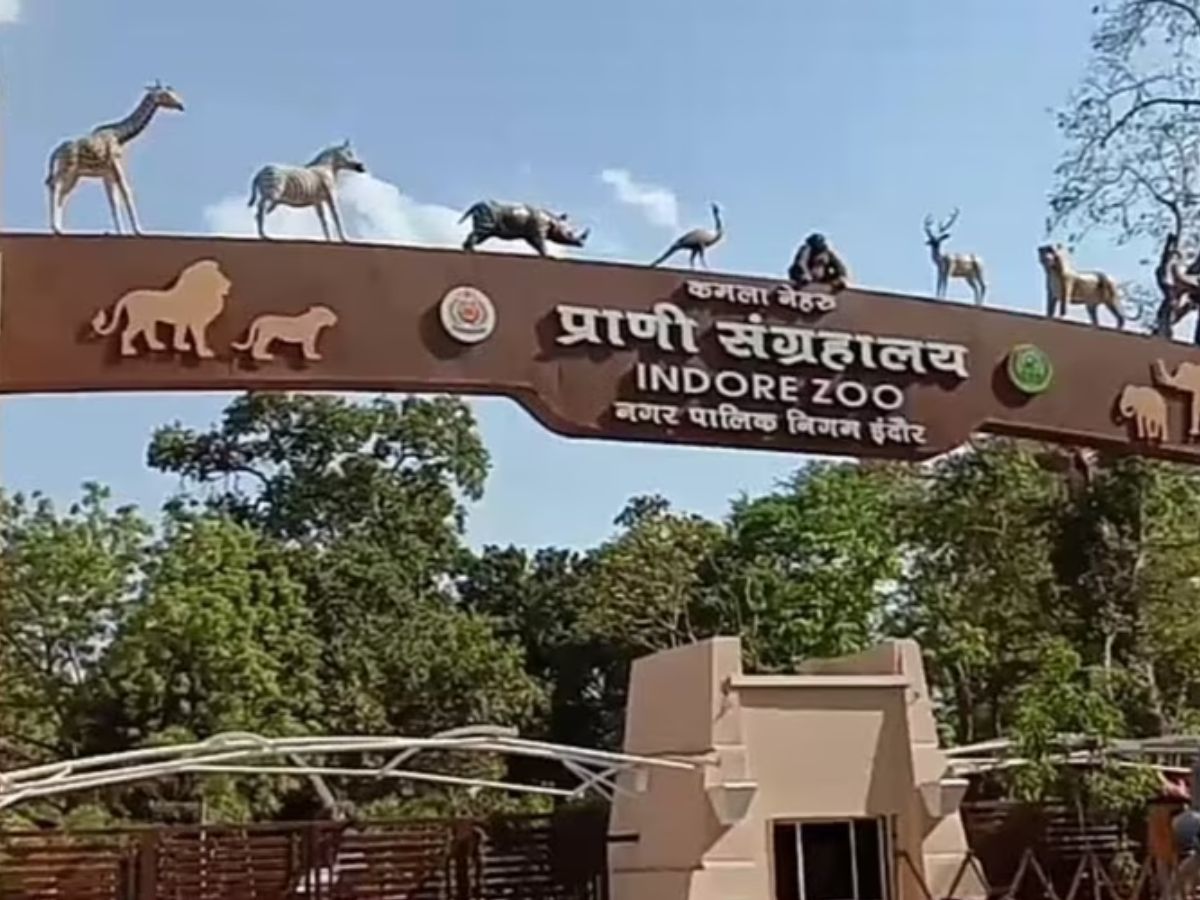 Places to Visit in Indore Famous places for picnic vacation honeymoon ...